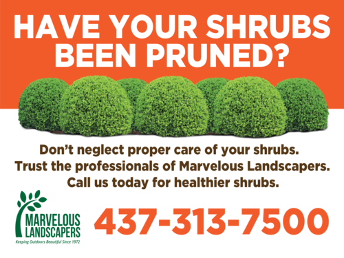 Tree and Shrub Trimming Yard Signs | Printastic
